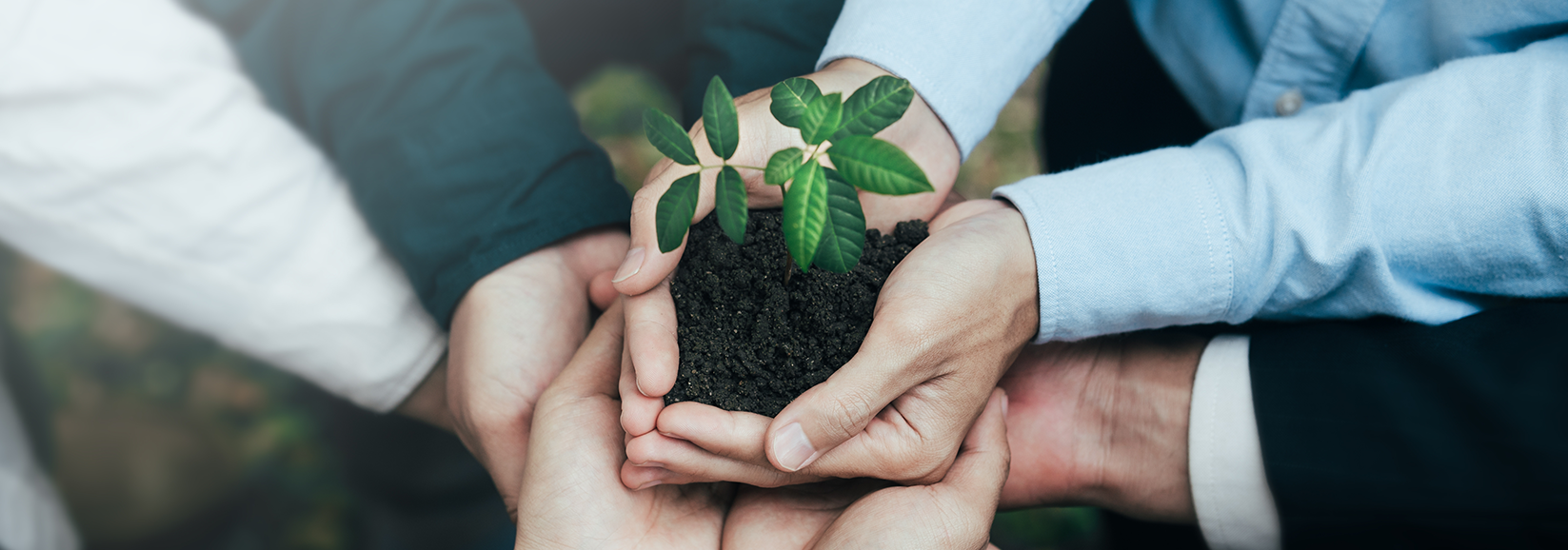 Infotel - Creating Innovative IT Solutions for Growth